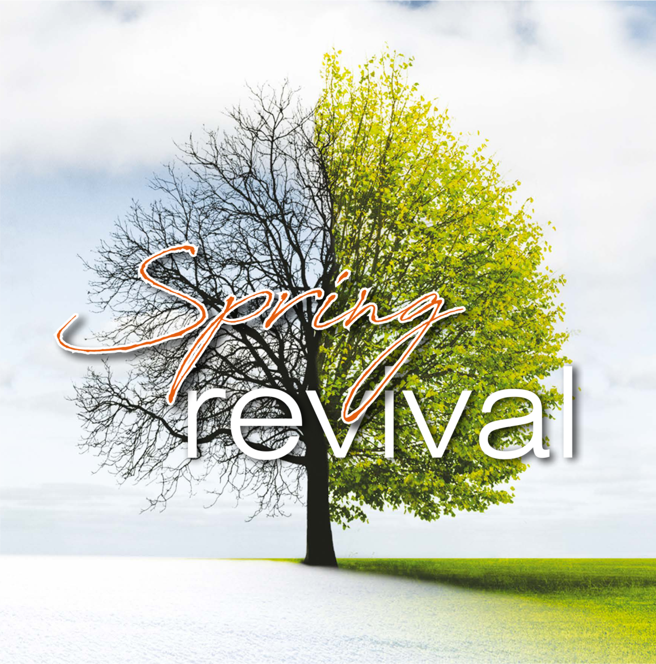 Spring Revival | Moms Notes